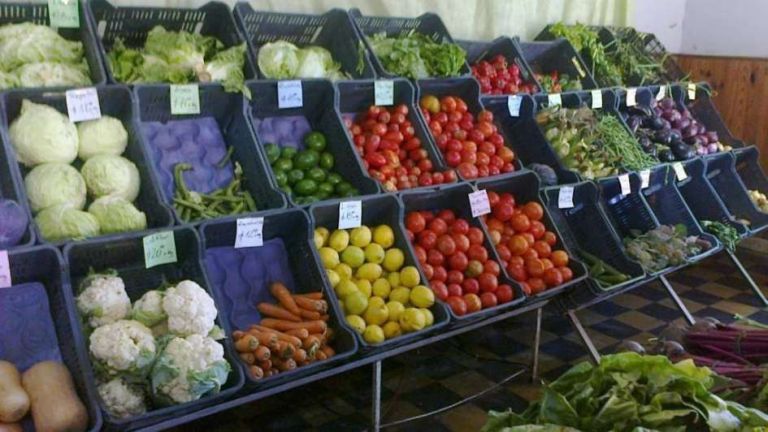 Verdulerías en auge: "aquel que haya perdido su laburo puede abrir una ...